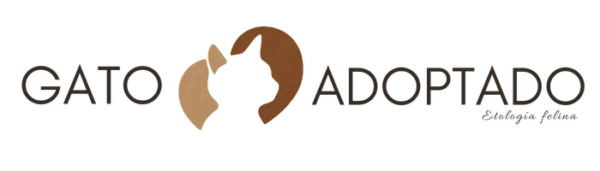 Vitamina B para Gatos: Guía Completa de Dosis y Beneficios Esenciales ...